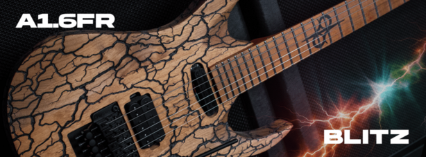 Welcome to the SOLAR GUITARS website